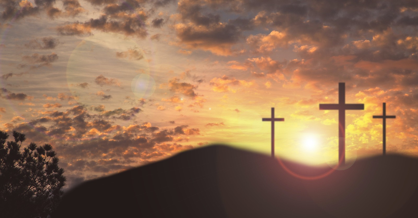 Did Jesus Sin - Did Jesus Sin in the Bible? | Bible Study Tools