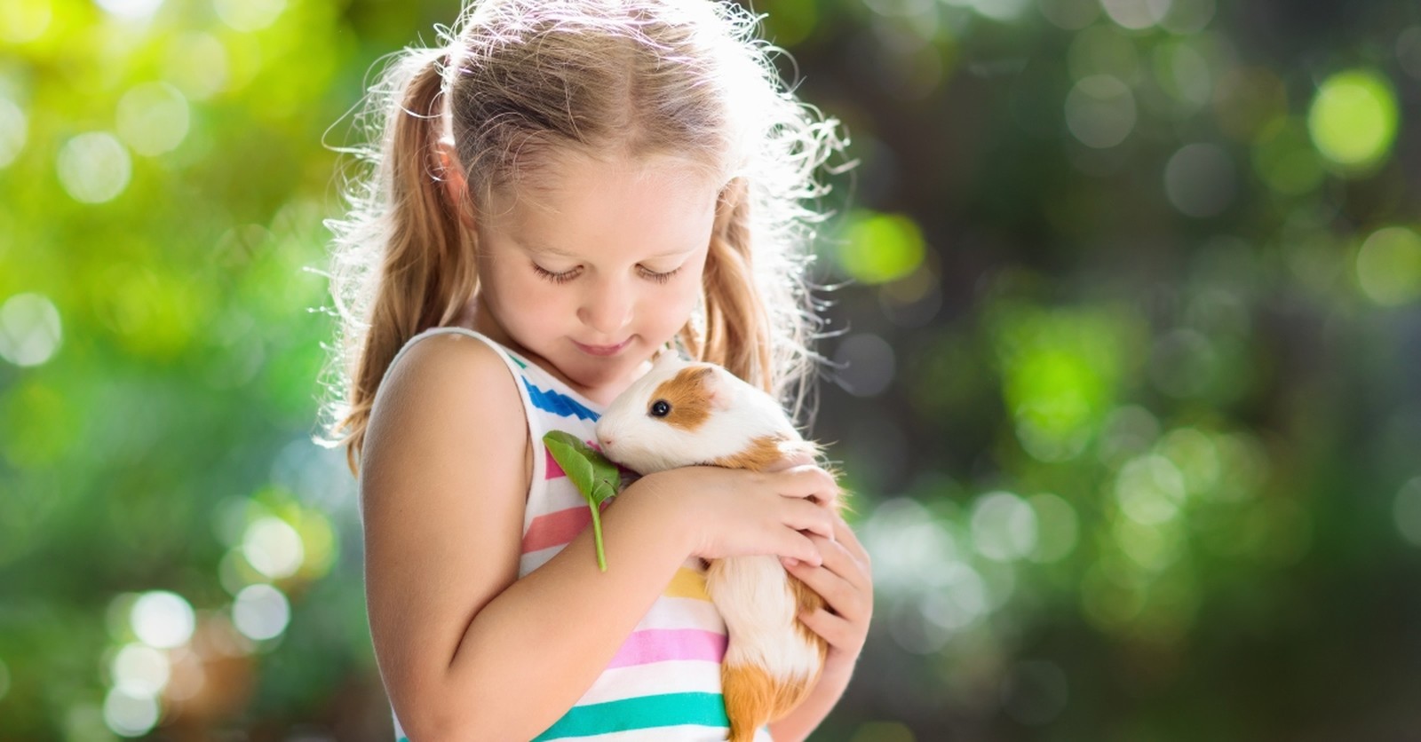 What Does the Bible Say about Caring for Animals? - Topical Studies ...