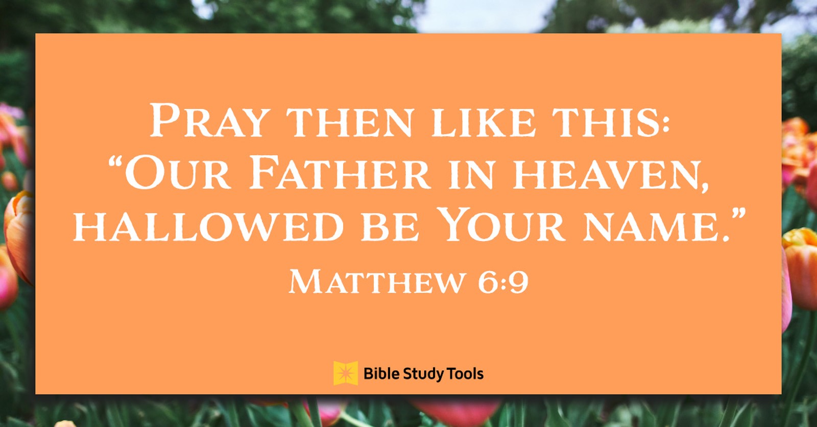 Matthew 6 - ESV - Bible Study Tools | Bible Study Tools
