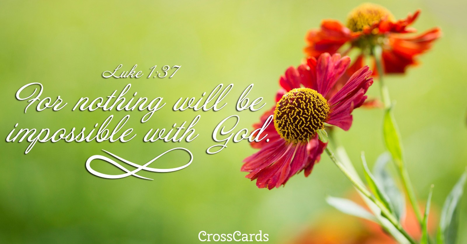 Luke 1:80 - And the child grew and became strong in spirit ; a ...