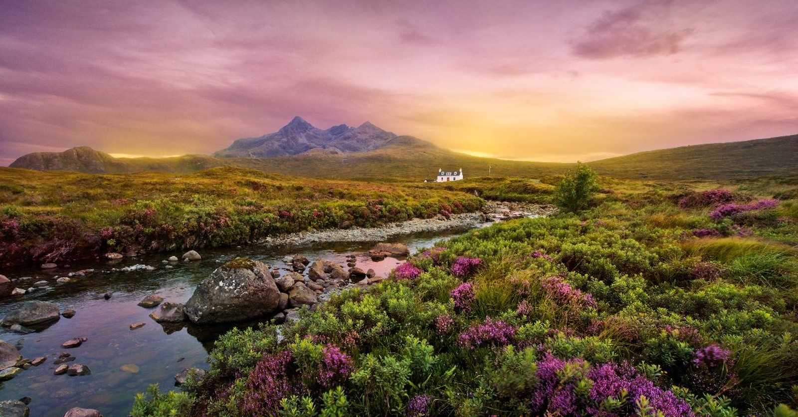 Why Did God Create Everything? - Topical Studies | Bible Study Tools