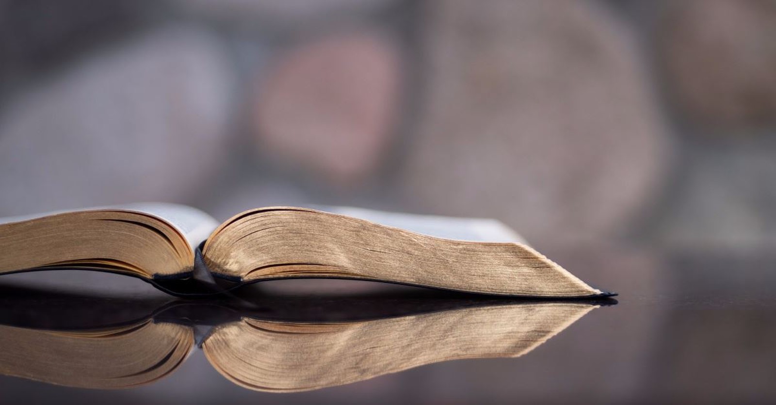 Bible Verses About Laziness & It's Sinfulness | Bible Study Tools