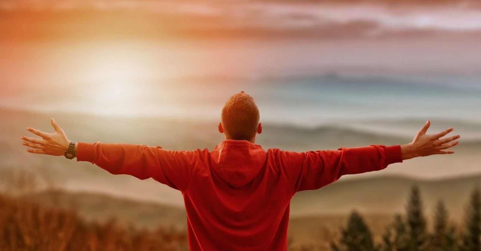 Judah in the Bible - Understanding His Life & Story | Bible Study Tools