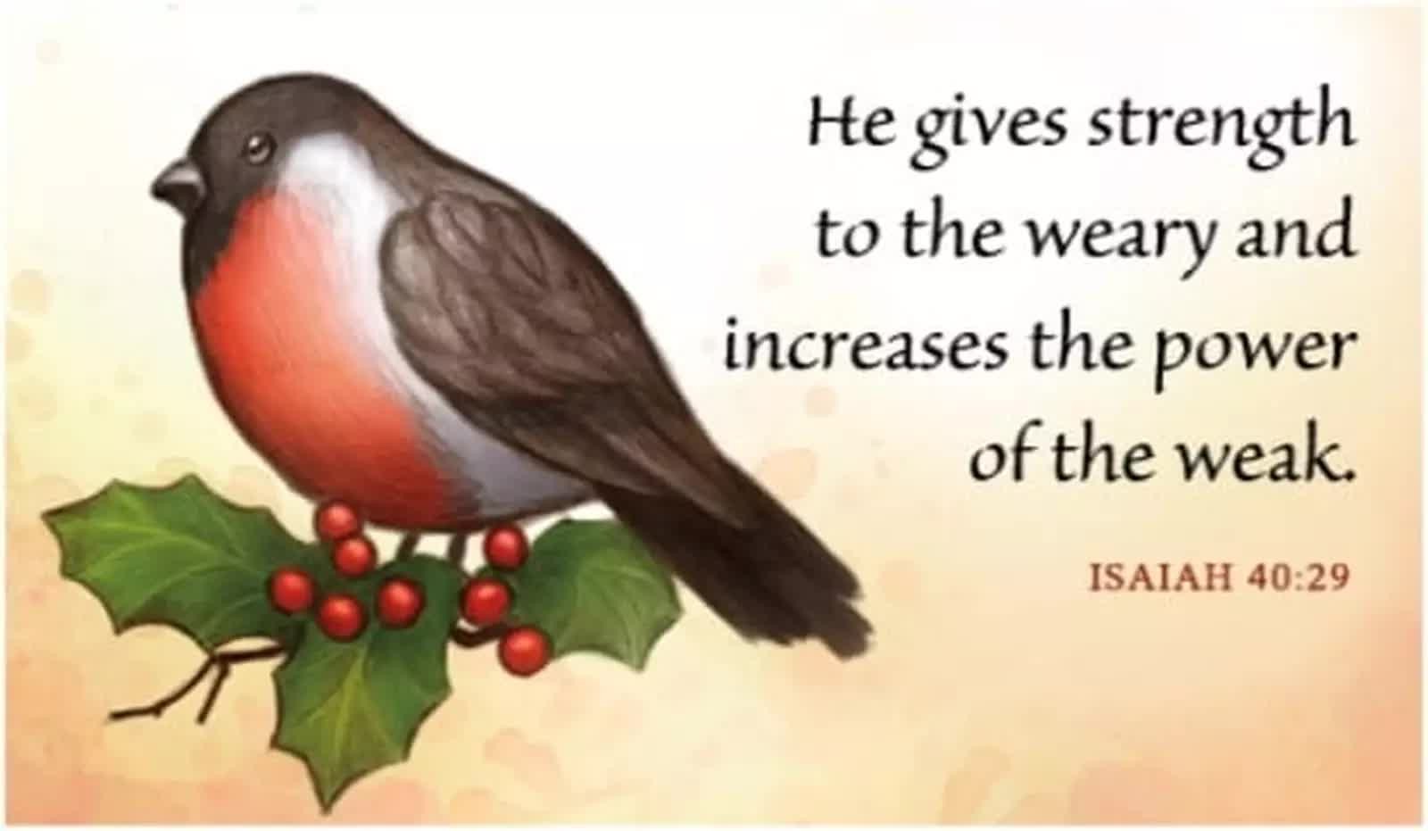 Isaiah 40 KJV - "Comfort ye, comfort ye my people, saith your God ...