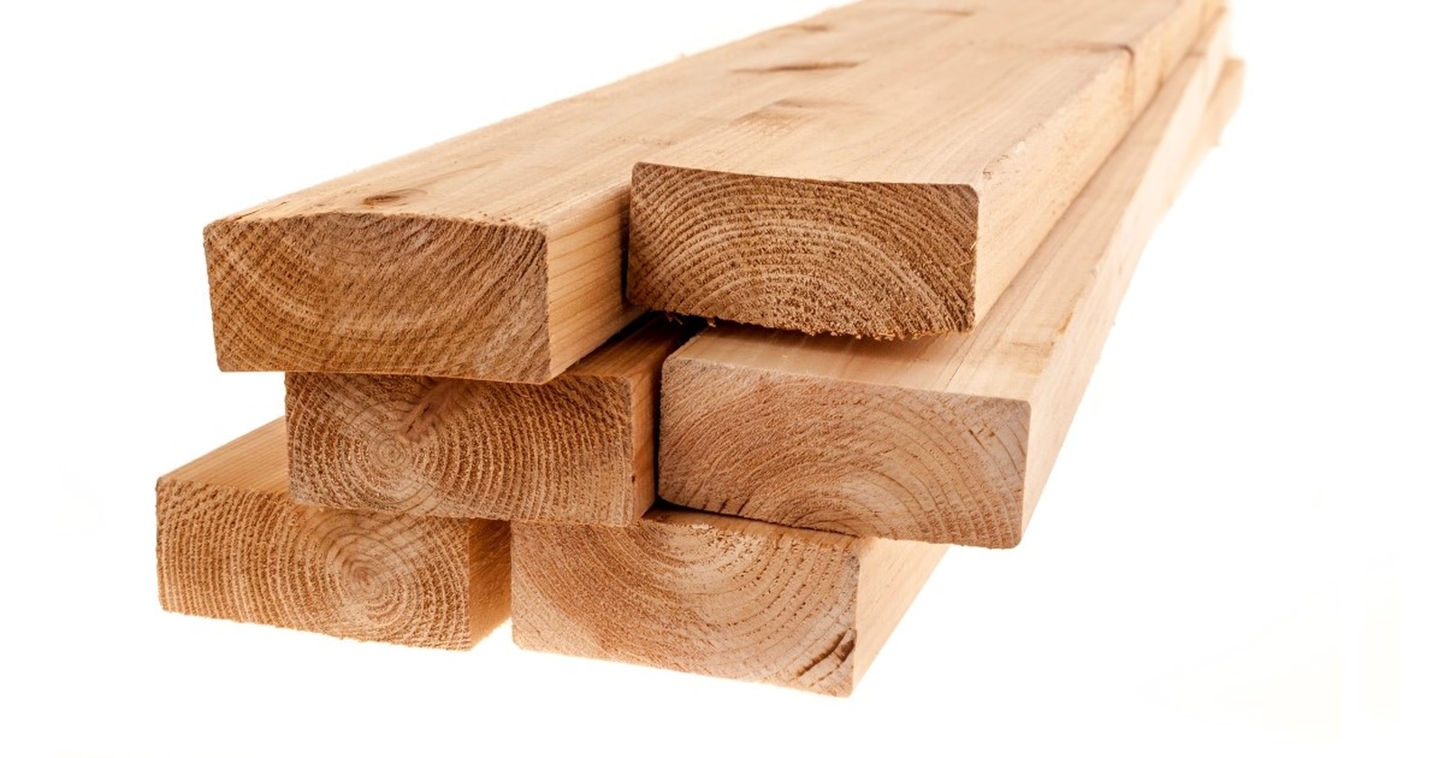 Can You Take the Plank Out of Your Eye and Remove the Speck from Your ...