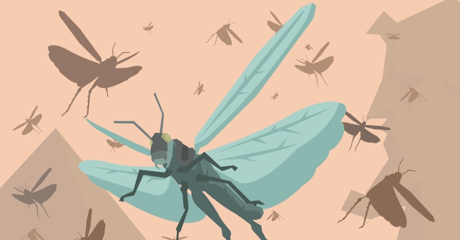 What Should Christians Know about the Locusts in Revelation? - Topical ...