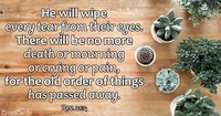 Your Daily Verse - Psalm 37:8-9 - Your Daily Verse