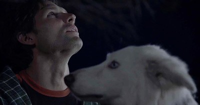 'The Stray' - Inspiring True Story Of Dog That Answered A Family's Prayers