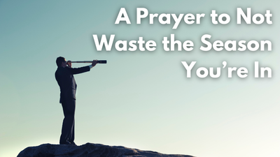 A Prayer to Not Waste the Season You’re In | Your Daily Prayer ...