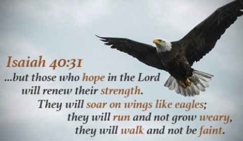 Isaiah 40:31 - but those who hope in the LORD will renew their st ...