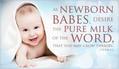 30 Bible Verses About Rocks - Compelling Scripture Quotes | Bible Study ...