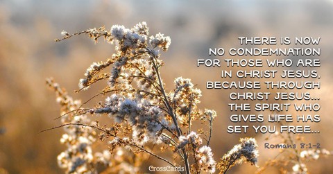 Romans 8:37 - No, in all these things we are more than conqueror ...