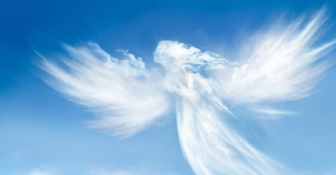 Hireling Meaning - Bible Definition and References | Bible Study Tools