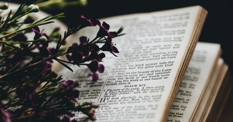 Who Actually Wrote Psalms? | Bible Study Tools