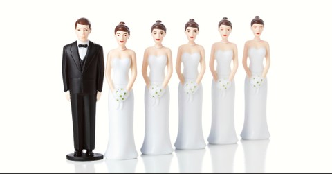 Who Were King David's Wives in the Bible? | Bible Study Tools