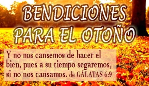 Otoño eCards - Free eMail Greeting Cards Online