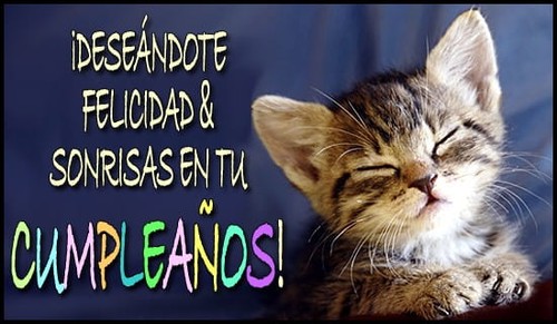 Feliz Cumpleaños eCards - Free eMail Greeting Cards Online