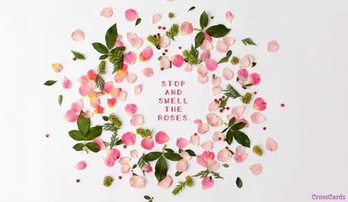 Simple Things eCards - Free eMail Greeting Cards Online