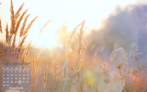 Free November Computer Desktop Calendars- Wallpaper Backgrounds
