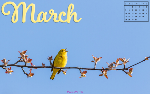Beautiful March Desktop & Mobile Wallpaper - Free Backgrounds