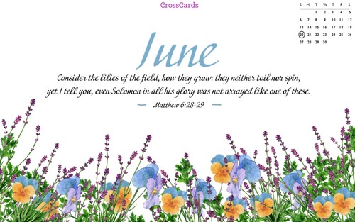 Beautiful June Desktop & Mobile Wallpaper - Free Backgrounds