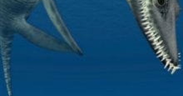 Slaying the Sea Monster of Psalm 74 - Bible Study