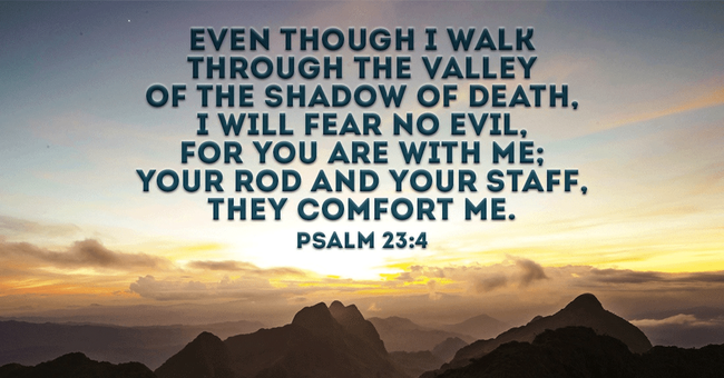 Psalm 23 - Finding Our Good Shepherd's Peace & Promises in the Midst of ...