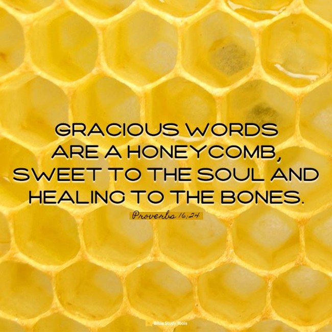 Cultivating a Honeycomb of Gracious Words - Bible Study Minute ...