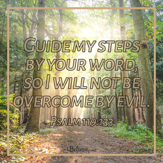 Buckled In - iBelieve Truth: A Devotional for Women - June 7 - Daily ...