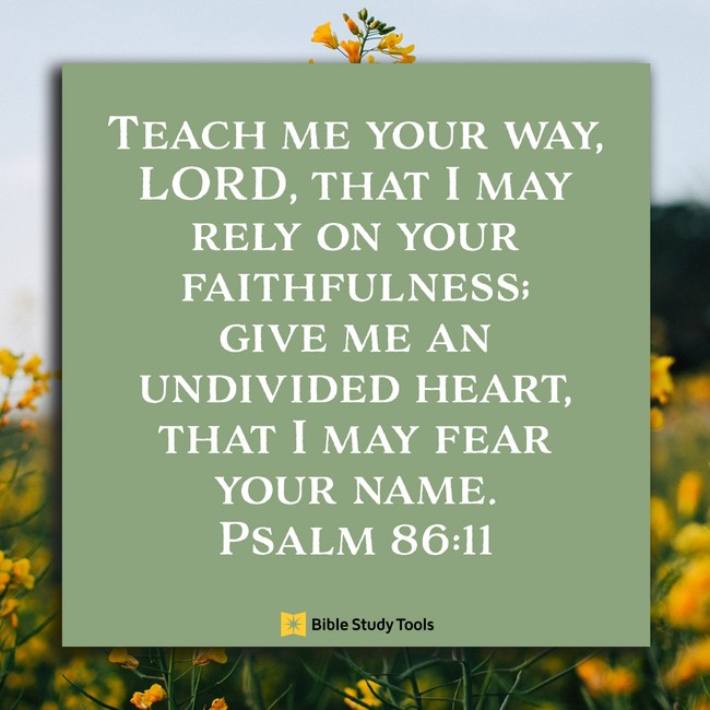 Your Daily Bible Verse Daily Devotional Bible Study