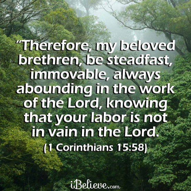 A Prayer to Be Immovable through Trials - Your Daily Prayer - January ...