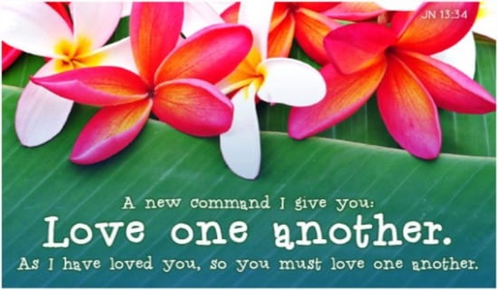 The Top Bible Verses about Agape Love in Scripture | Bible Study Tools