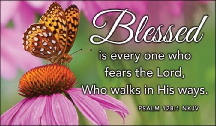 Psalm 128 - NIV - Blessed are all who fear the LORD, who walk in obe ...