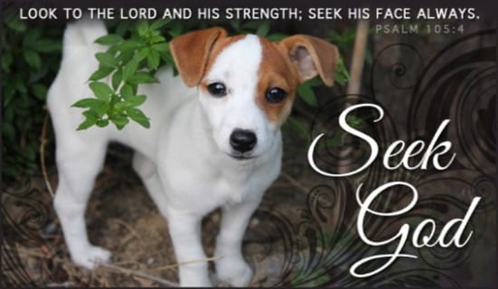 30+ Uplifting Bible Verses About Seeking God - Scriptures for the Soul ...