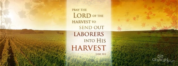 Luke 10:2 - He told them, “The harvest is plentiful, but the w ...