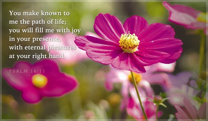 Psalm 16 KJV - "Preserve me, O God: for in thee do I put my trust ...