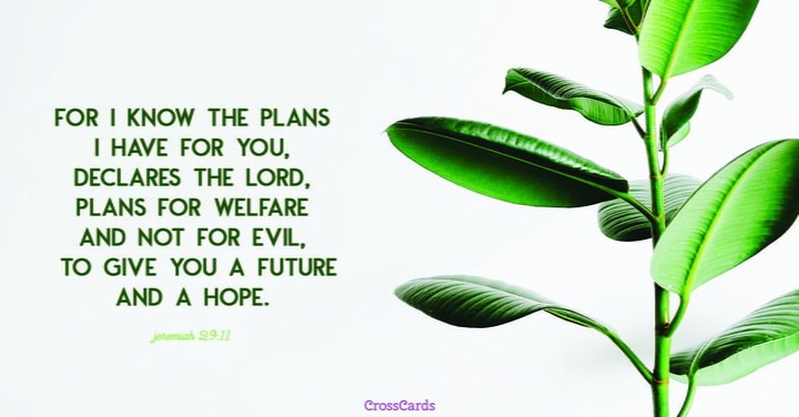 Jeremiah 29 - NIV - This is the text of the letter that the prophet Je ...