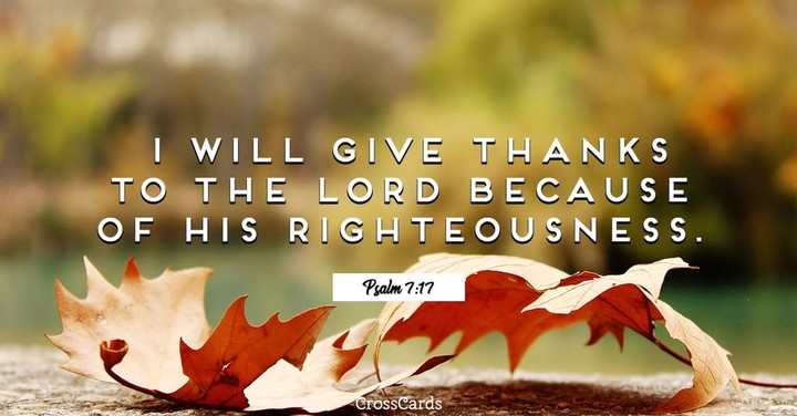 Psalm 7 - NIV - LORD my God, I take refuge in you; save and delive ...