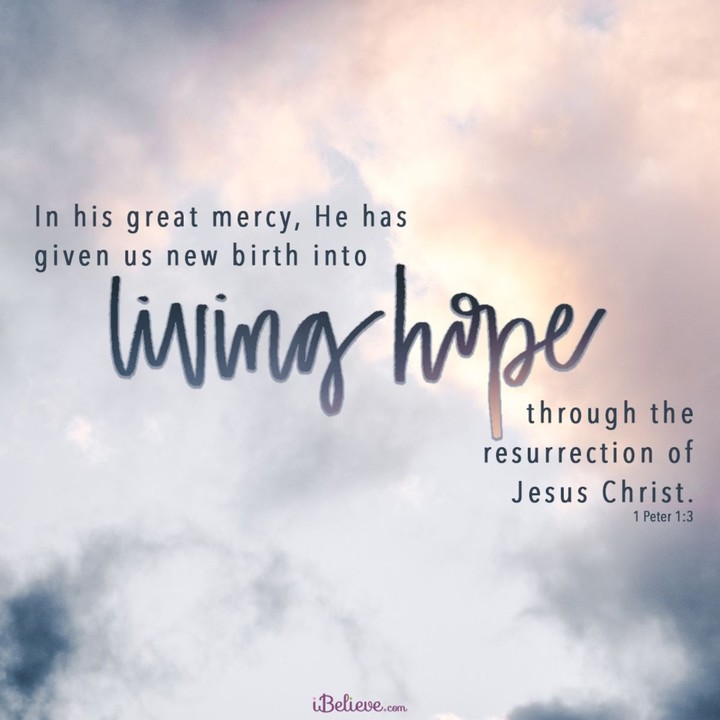 1 Peter 1 - NIV - Peter, an apostle of Jesus Christ, To God’s elect ...