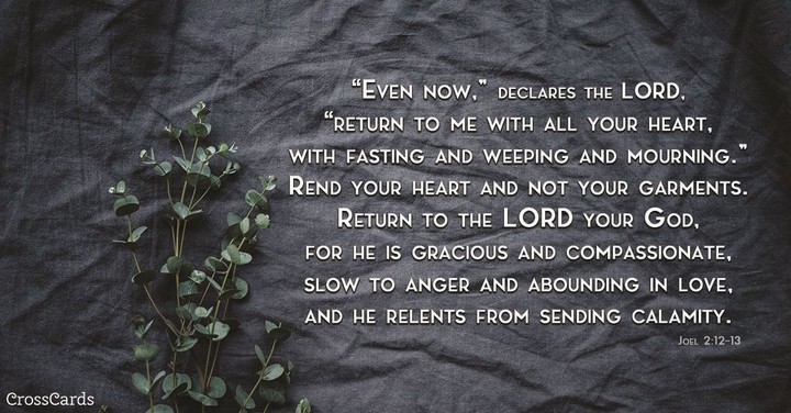 40 Bible Verses About Aging in Grace & Wisdom - Inspiring Scripture ...