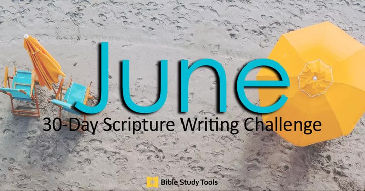 Downloads | Bible Study Tools