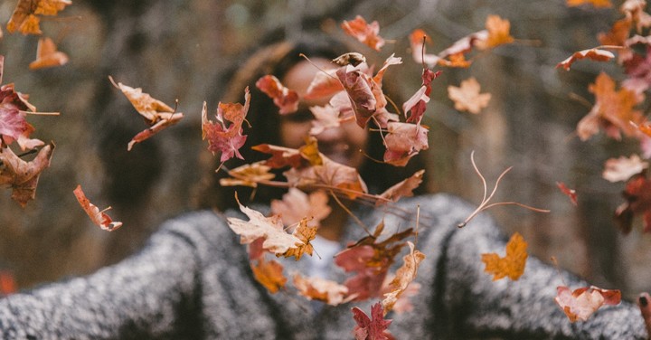 November Bible Verses: Daily Scriptures for the Month - Explore the ...
