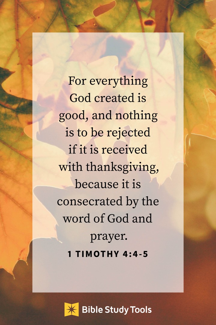 1 Timothy 4:4 - For everything God created is good, and nothing is ...