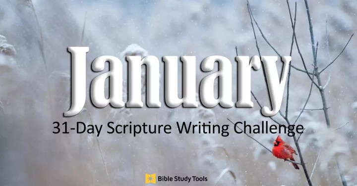 January's 31-Day Scripture Writing Challenge - Downloads | Bible Study ...