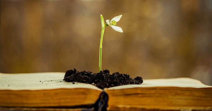 How Do We Grow in the Grace and Knowledge of Christ? - Topical Studies ...