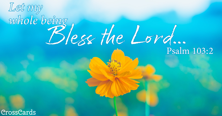 Psalm 103 - ESV - Bible Study Tools | Bible Study Tools