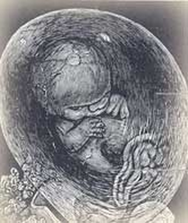 Humanae Vitae - 1901-2000 Church History Timeline