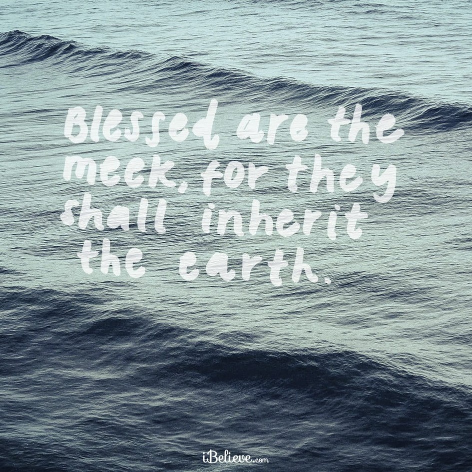 A Prayer for Meekness - Your Daily Prayer - November 7 Daily Devotional