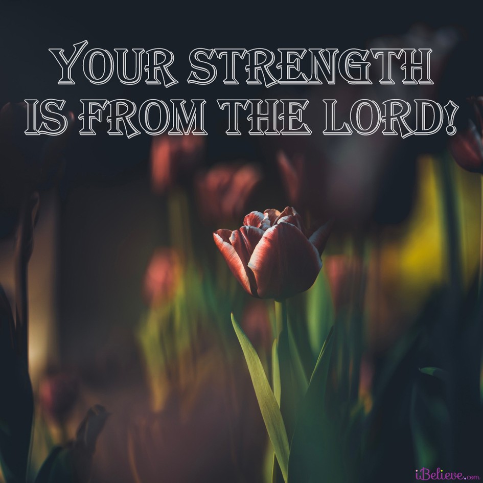 A Prayer to Be Brave Like Jesus - Your Daily Prayer - May 5 Daily ...