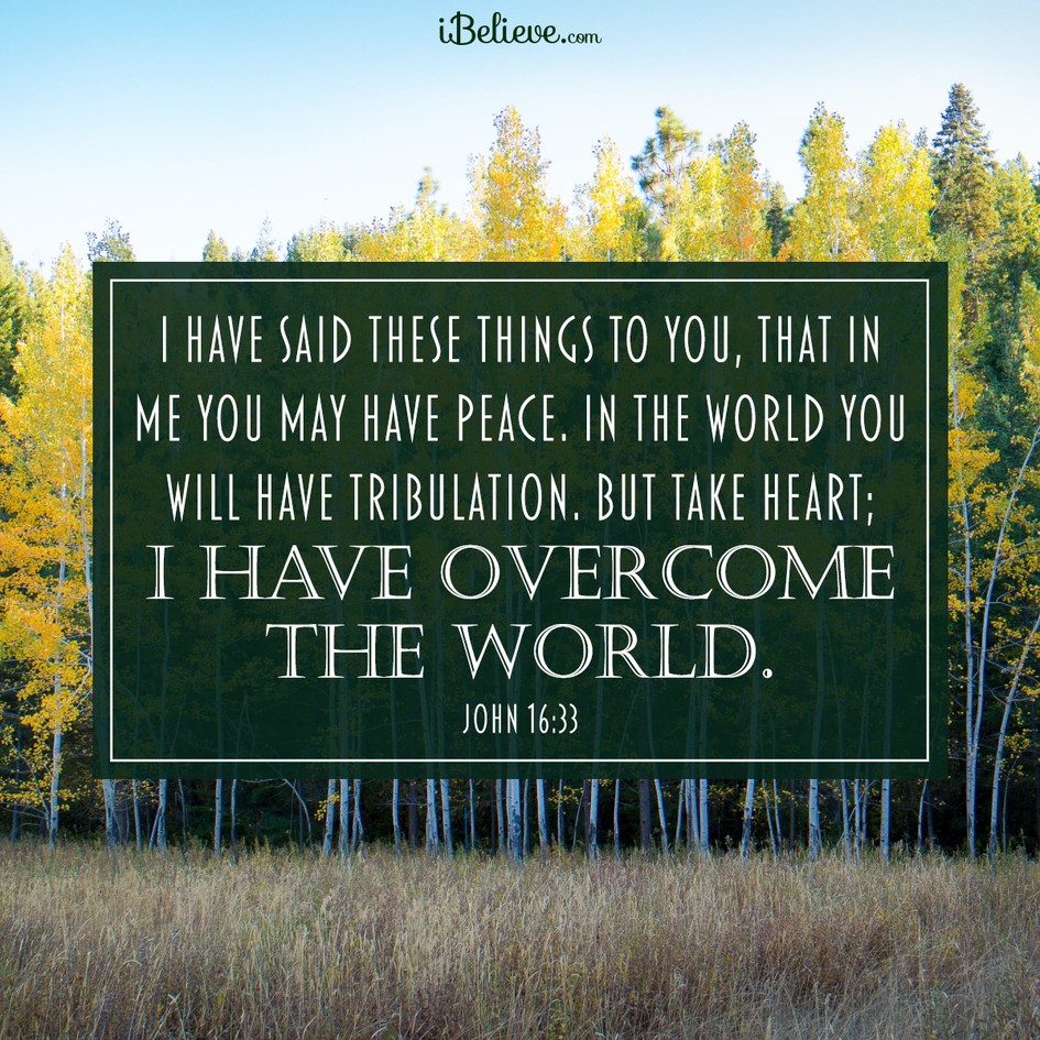 Dose of Devotion – Dose of Devotion